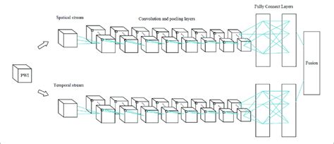 Multi Stream 3d Cnn Network Each Stream Is A 3d Cnn Network And The Download Scientific