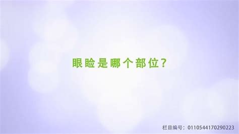 眼睑指的是哪个部位 高清1080P在线观看平台 腾讯视频