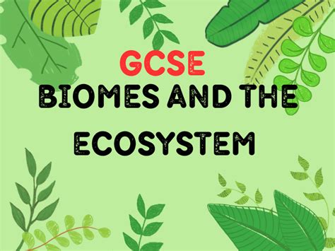 Ecosystems And Biomes Comprehensive Gcse Lesson Teaching Resources