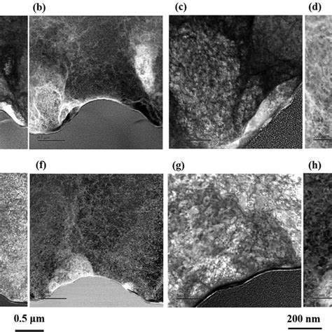 Stem On The Cross Section Nanoindentation Fib Stem Lift Out Samples Download Scientific Diagram