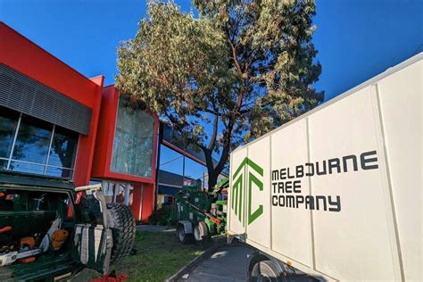 Commercial Tree Services Melbourne Tree Company