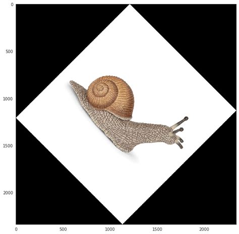 Opencv Tutorial For Beginners With Python Curiousily Hackers Guide