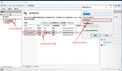 Net Core程序发布到iiswindow Server 2019控制台应用程序发布到iis Csdn博客