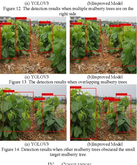 Figure 14 From A Mulberry Detection Method In The Complex Background Based On Improved D Yolov3