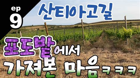 포도밭 사이 오솔 길을 걷다가 문득 Ep 09 로스아르고스 산솔 7km [갱년기 약골 나홀로 산티아고] Youtube