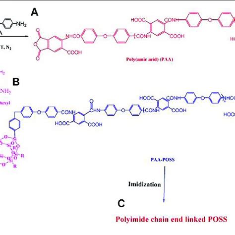 Preparation Of A Polyamic Acid Paa B Paaposs Download