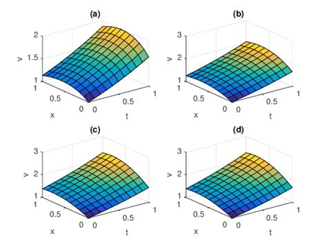 The Surface Graph Of The 3 Th Order Approximate Solution By Nvim And