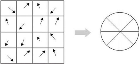 Figure Eight Bin Histogram Any Gradient Orientation In The Range 0 44