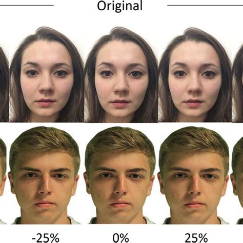 Xijing Wang Professor Assistant Doctor Of Philosophy City University Of Hong Kong