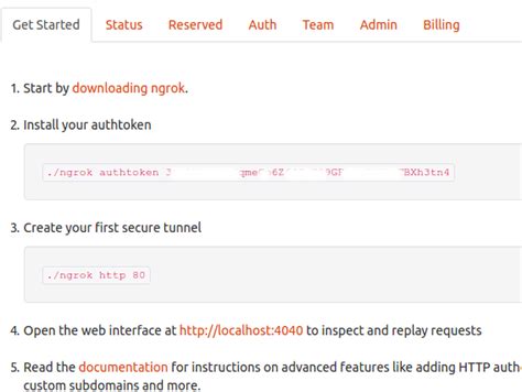 Ngrok Pengganti Ip Public Crudpro