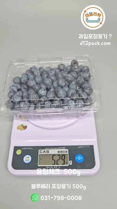 블루베리포장용기 500g 블루베리 농장 포장용기 과일 Youtube