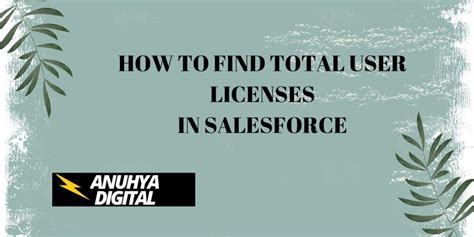How To Find And Manage Salesforce Licenses Anuhya Digital Posted On The Topic Linkedin