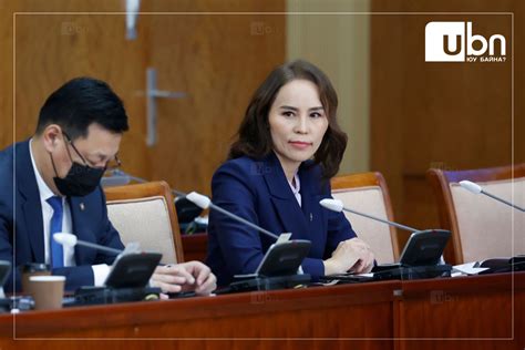 Ц Мөнхцэцэг Зарим аймагт Засаг даргын өргөн барьсан хүүхэд хамгааллын