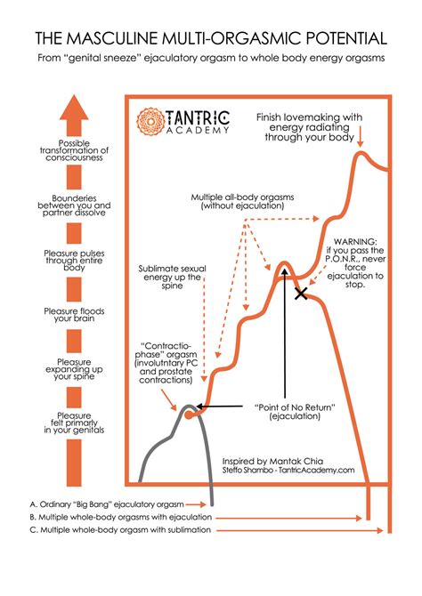 Multi Orgasmic Men How To Become One Of The 3 In 9 Weeks