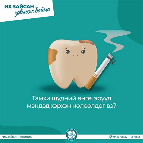 Их Зайсан Эмнэлэг Тамхи шүдний өнгө эрүүл мэндэд хэрхэн нөлөөлдөг вэ