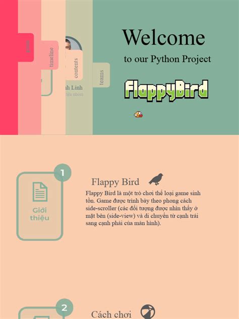 python project pdf