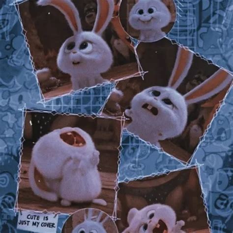 چند تا بک گراند آبی کیوت عکس ویسگون