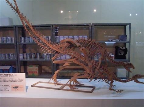 Fossil Porn More Fossil Porn From The Buzzfeed Blog Post