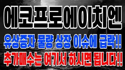 에코프로에이치엔 유상증자 물량 상장 이슈에 주가는 급락 추가매수는 여기서 하시면 됩니다 Youtube