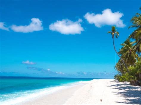 Soñar Con Playa Hermosa