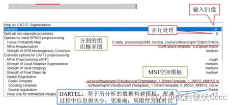 基于cat12和spm12进行vbm数据分析 csdn博客