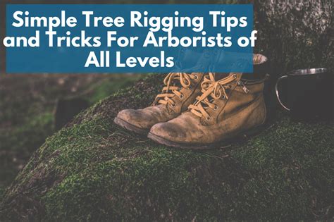 Simple Tree Rigging Tips And Tricks For Arborists Of All Levels Right