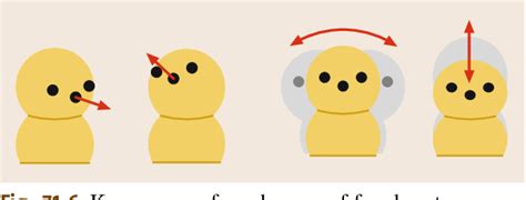 [pdf] 71 cognitive human robot interaction semantic scholar