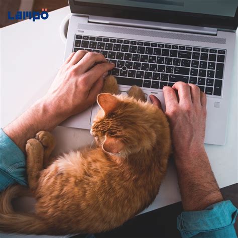 ЖК Лампо Розничная и кадастровая стоимость это одно и то же ⠀ ЖК «Лампо продолжает