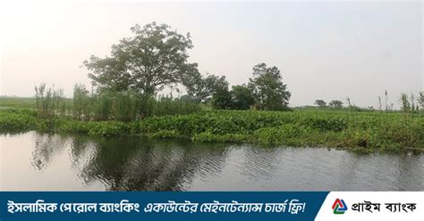 Ensure That No Dredgers Come To Arial Beel Rizwana Instructs Munshiganj Dc The Business Standard
