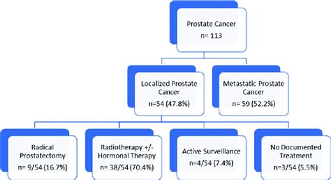 Algorithm Of Diagnosed Prostate Cancer Patients And The Treatment They Download Scientific