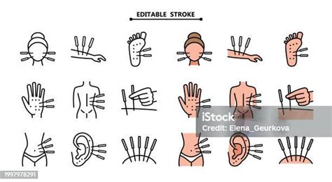 침술 아이콘은 윤곽선 벡터를 설정합니다 자오선체 라이브 포인트 가는 선 색상 흰색 절연 평면 침술에 대한 스톡 벡터 아트 및 기타 이미지 Istock