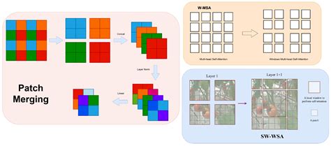 Rt Detr Tomato Tomato Target Detection Algorithm Based On Improved Rt