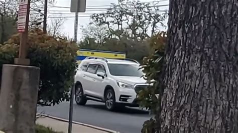 Lizzardo Giganticus Is Live Youtube