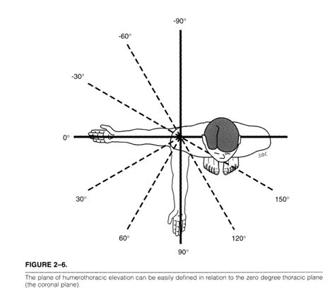 Shoulder Internal Rotation Degrees Shops