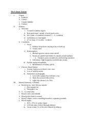 The Urinary System Docx The Urinary System I II III Organs A Kidneys B Ureters C