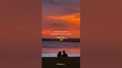 කොහෙන්දෝ මන්ද ඇවිත් මගේ මුලු හිතම හොරකම් කරපු ඔයානම් 🥺💐 ️‍🩹 Youtube