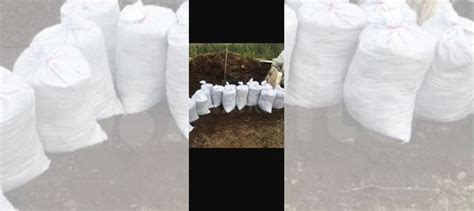 Навоз перегной в мешках купить в Томске Товары для дома и дачи Авито