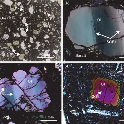 Photomicrographs Showing Dislocation Substructures In The Decorated Download Scientific Diagram