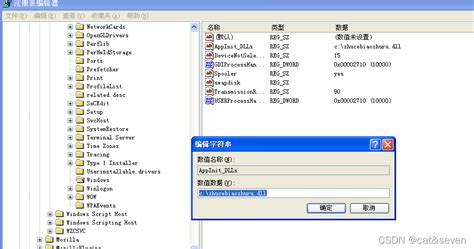 简单注册表注入dlldll 路径放注册表中 Csdn博客
