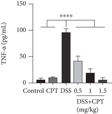 Effects Of Camptothecin Cpt On The Inflammatory Response Of Download Scientific Diagram