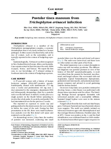 Pdf Pustular Tinea Manuum From Trichophyton Erinacei Infection