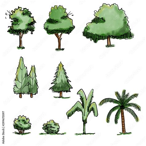 Set Of Side View Sketching Trees Vector Architecture Tree Elevation