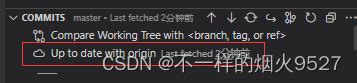 vscode GitLens插件使用 git 不一样的烟火 AI编程社区