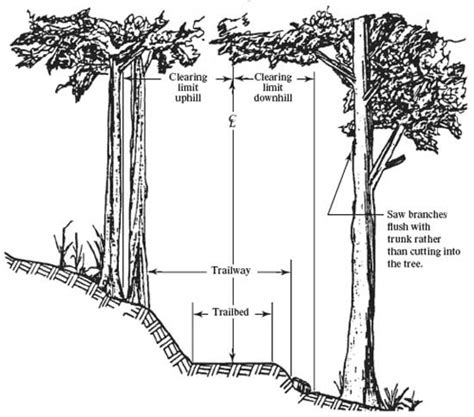 Tree And Roots Drawing At PaintingValley Com Explore Collection Of Tree And Roots Drawing
