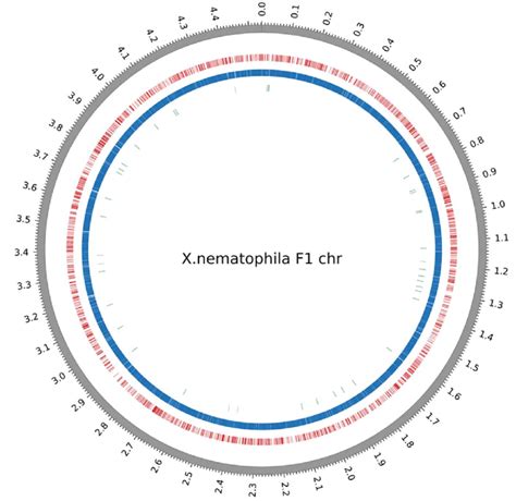 Circos Plots Displaying The Distribution Of Methylated Bases Over The Download Scientific