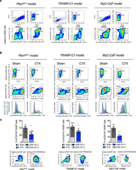 Analysis Of Myeloid Cells In Mouse Tissues With Flow Cytometry At Jesse Mcsharry Blog