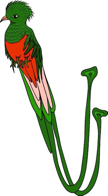 Quetzal Symbolism Images Free Download On Freepik