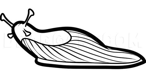 Slug Sketch