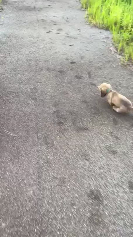 Wait Can T Walk Don T You See Repeat Tumbex