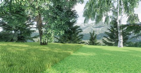 Grass Problem Sketchup Enscape